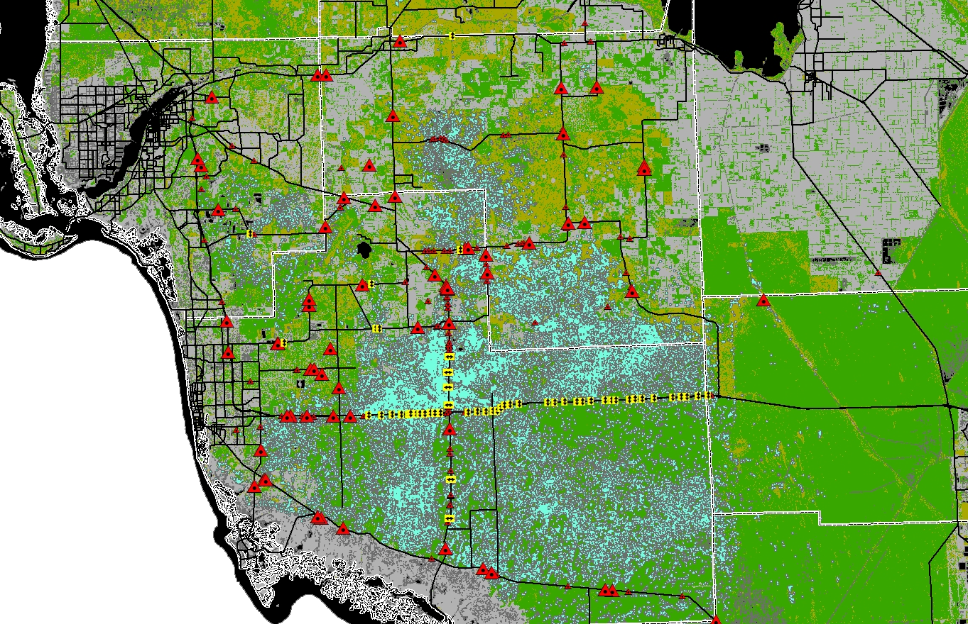 Florida Panther Protection Program